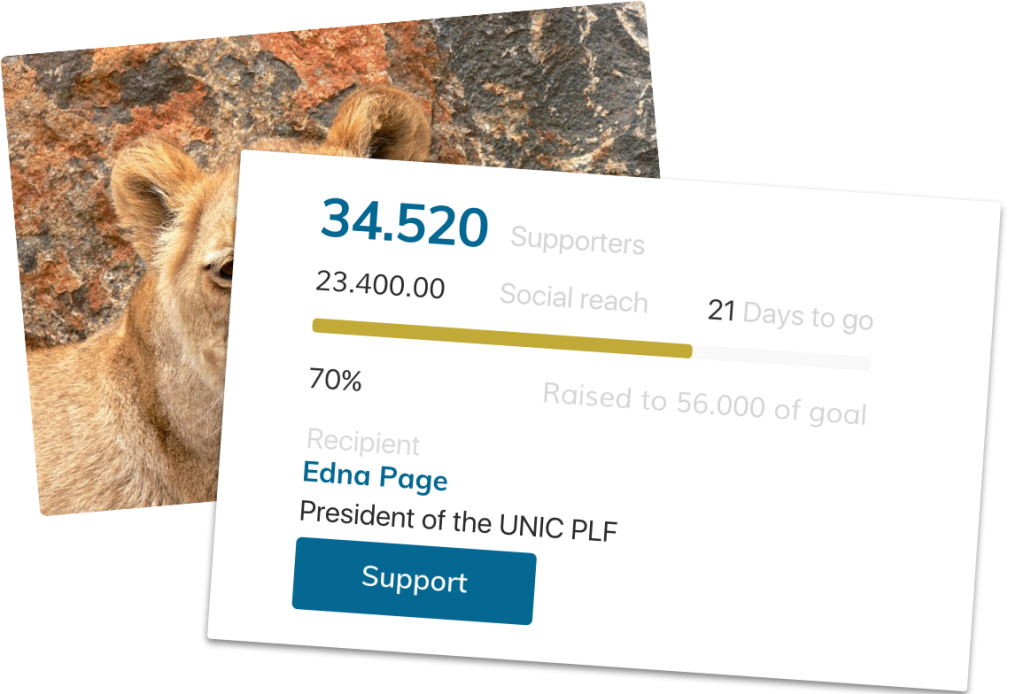 How it works – OnlyAnimals Foundation